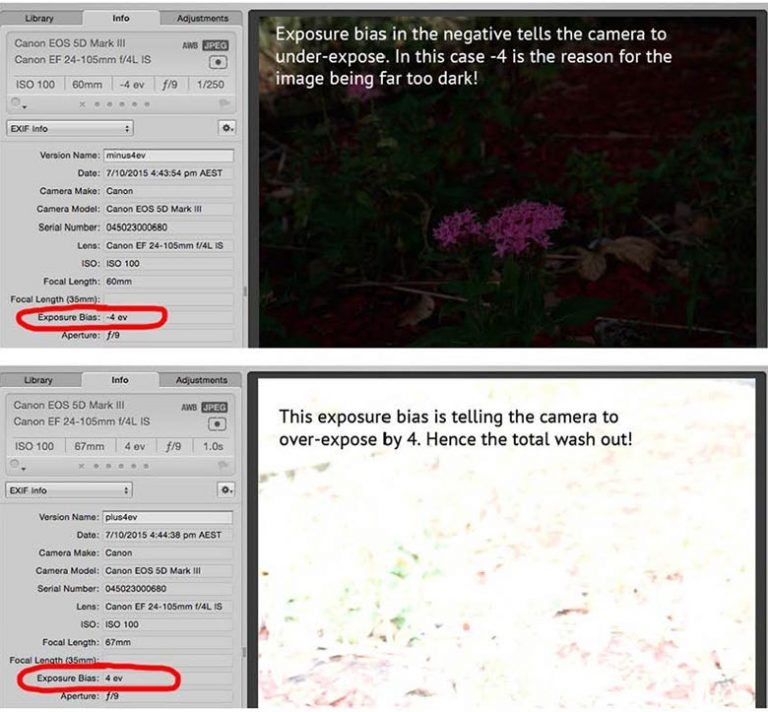 Quick Fix Common Exposure Problems – SLR Photography Guide